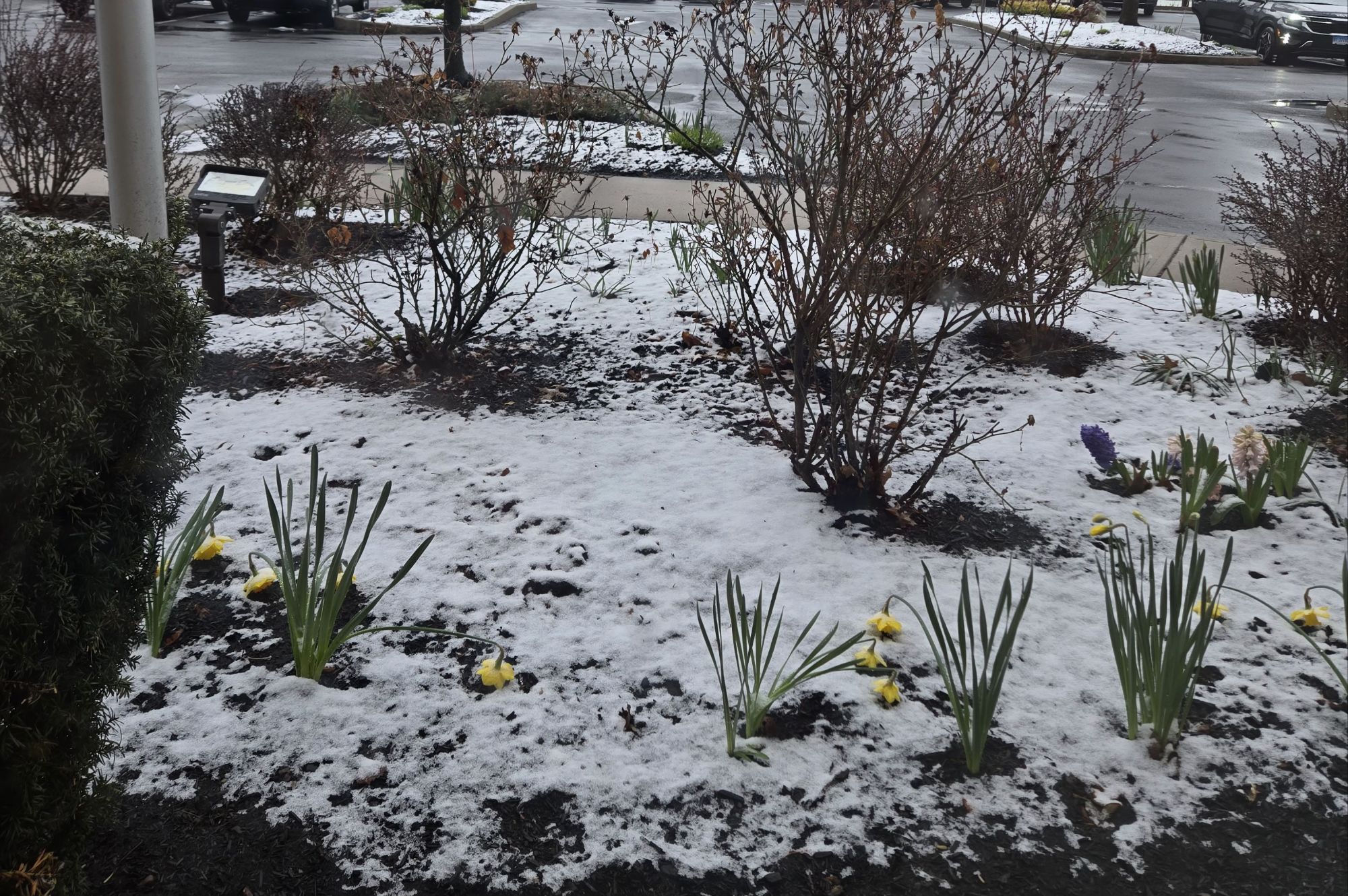 Happy Spring – Art is 80